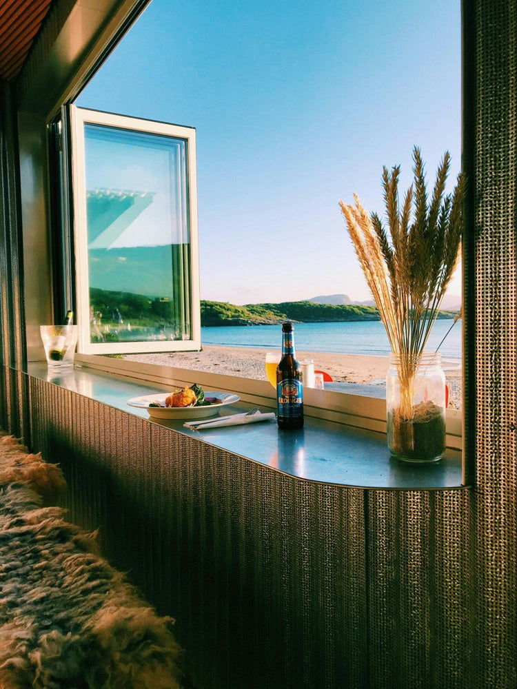 How to Identify Chaga Mushrooms: A Visual Guide – Melting Forest