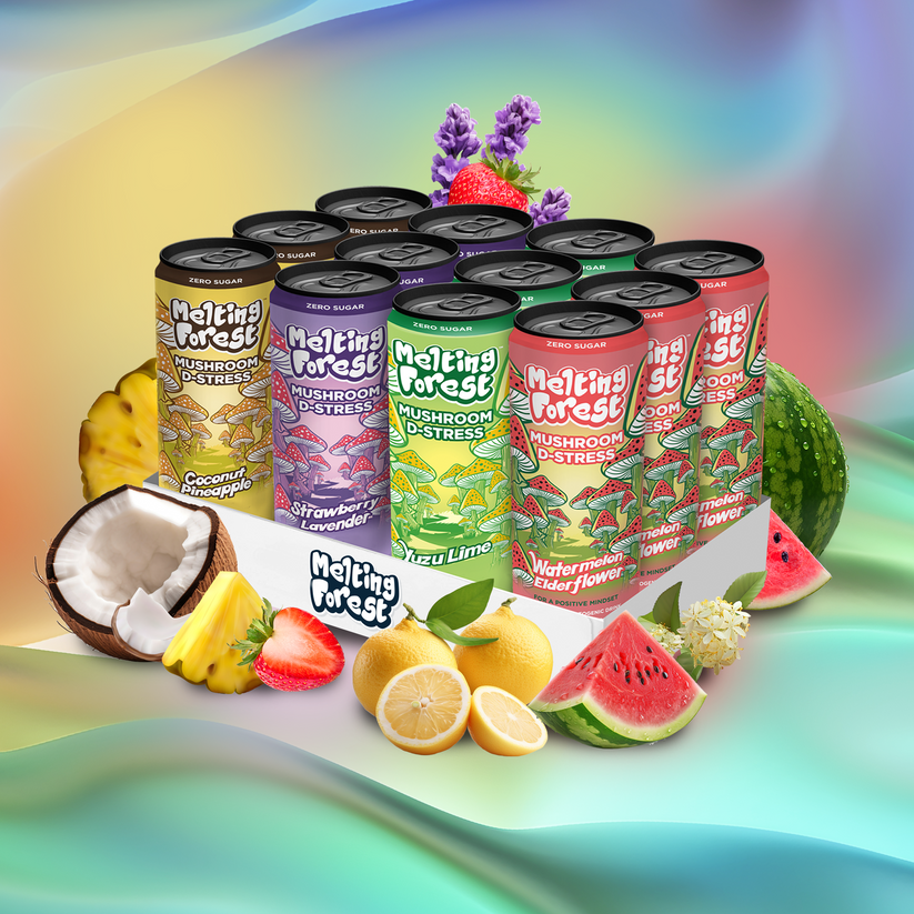 Mushroom D-Stress Drink 12 Pack Variety | Melting Forest