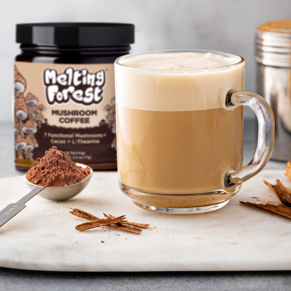 Meet the Mushrooms | Melting Forest - Nature's Power