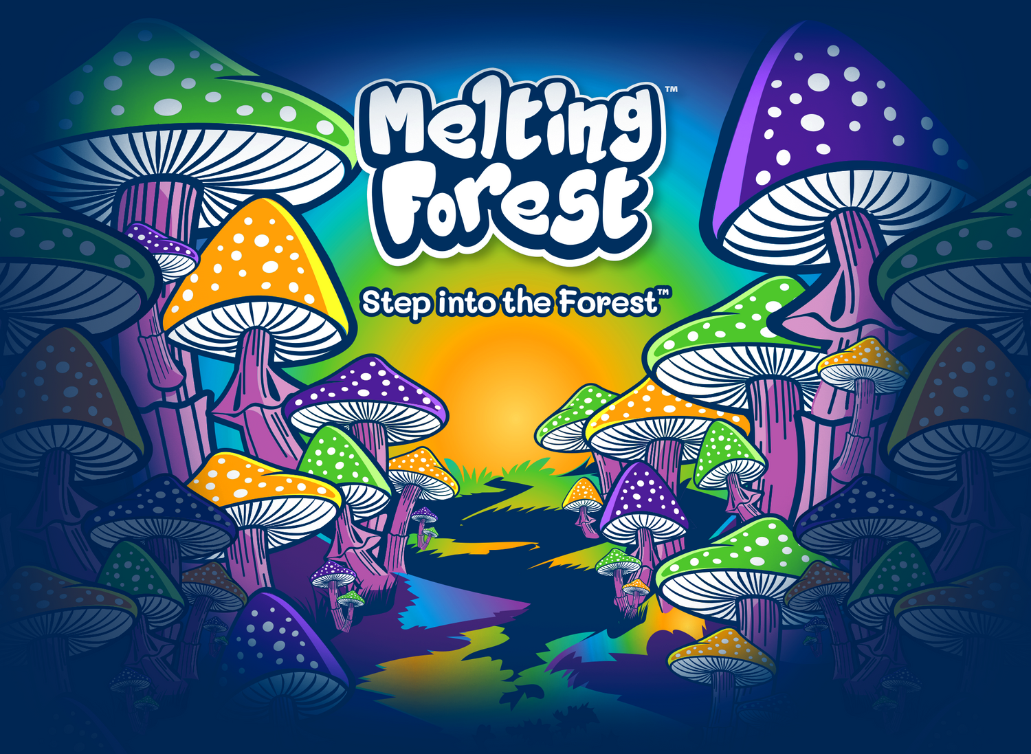 About us – Melting Forest