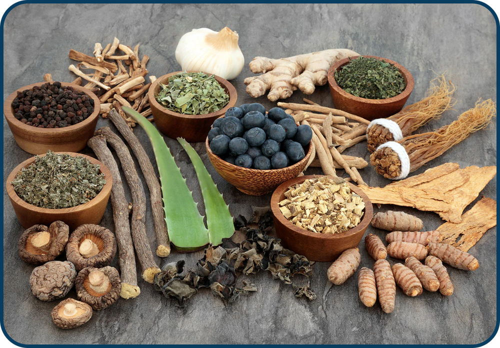 Melting Forest | Delicious Adaptogen Gummies & Drinks